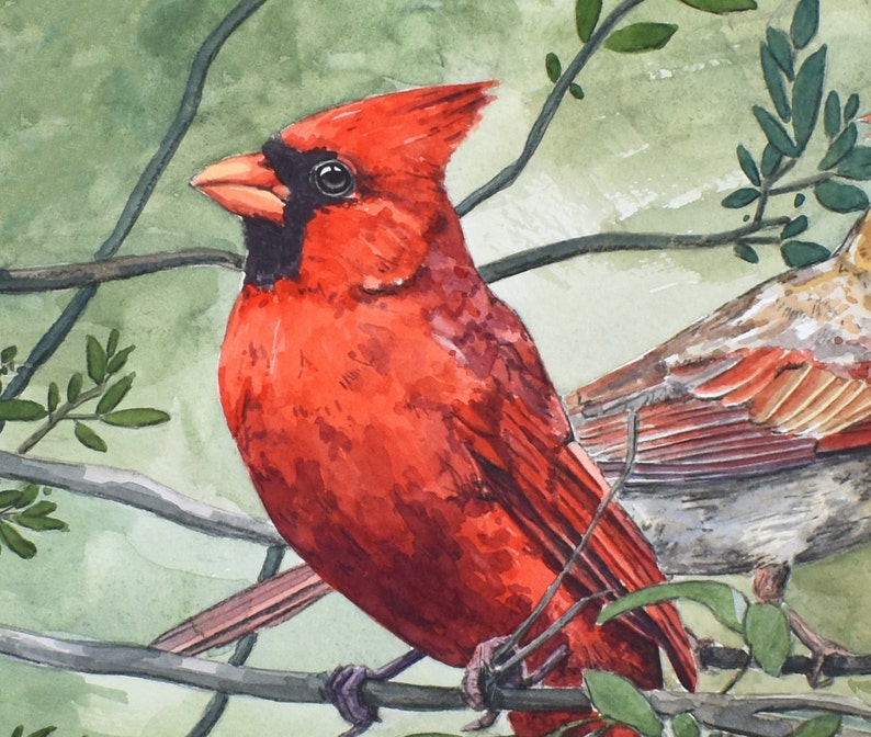 Summer Cardinal Pair Watercolor Print - Etsy
