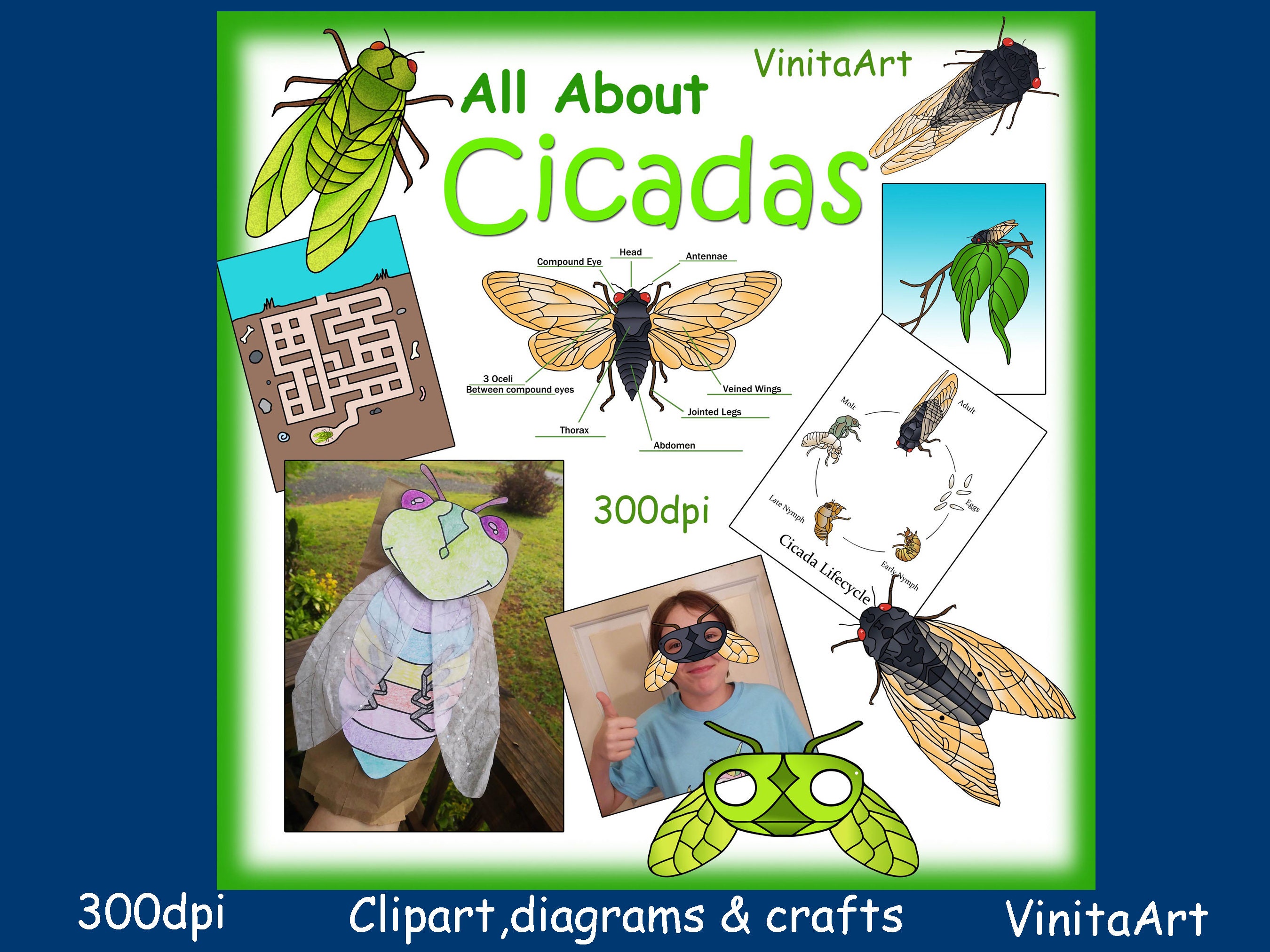 Drawing & Illustration Cicada Printable 8x8 digital stamp Pen & Ink ...