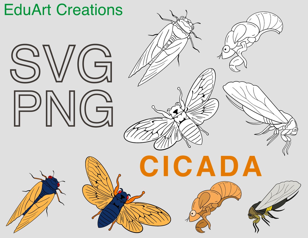 Cicada SVG Cut File, Cicada Cutting Files, Insect Svg for Cricut ...