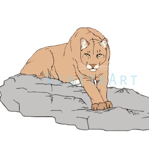 North American Animals,clip Art, Digital Stamps,moose,grizzly Bear ...