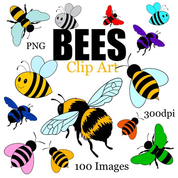 Organized Classroom Clipart Bee