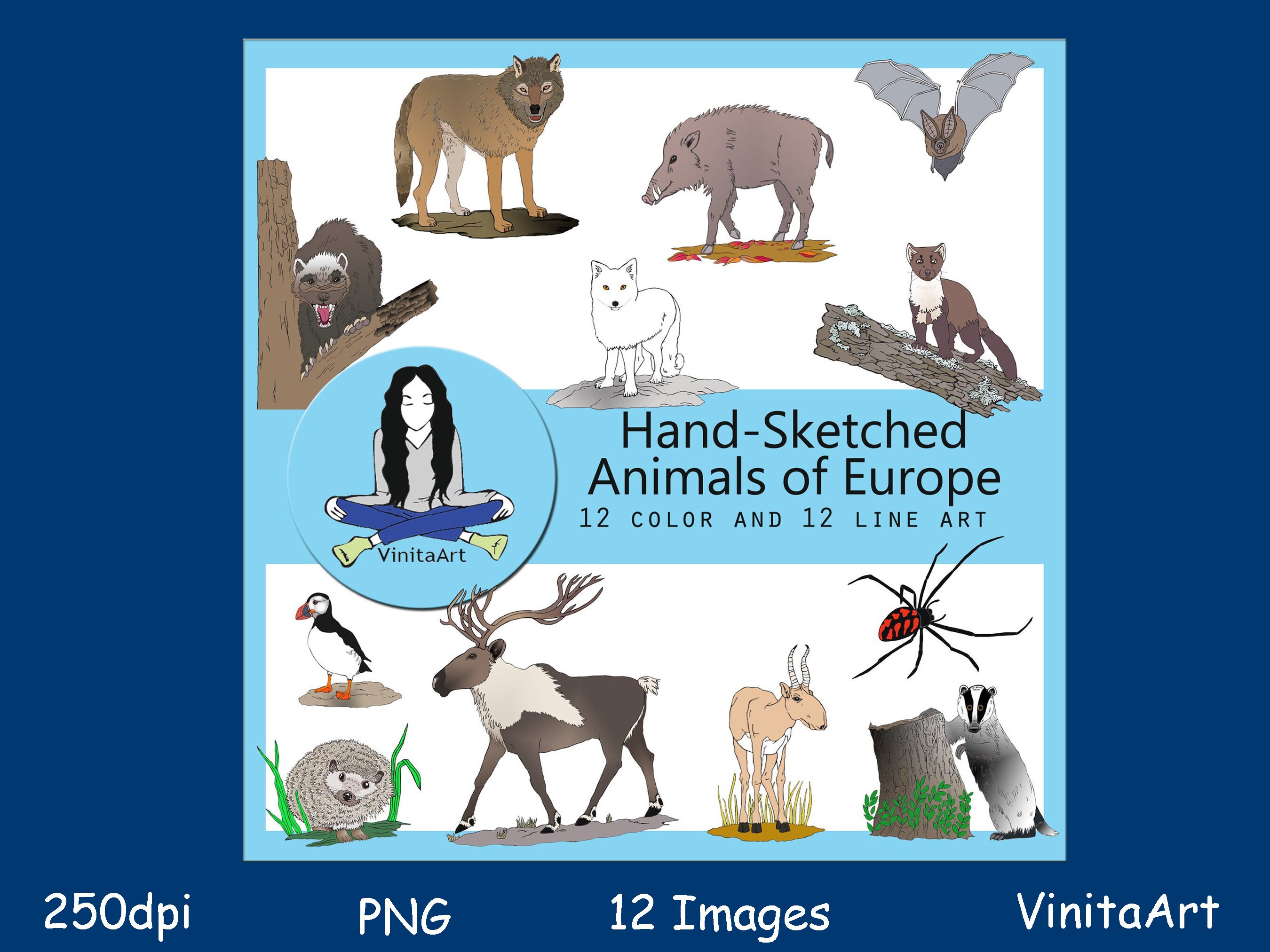 Animals of Europe Clip Art European Badger Reindeer Pine | Etsy