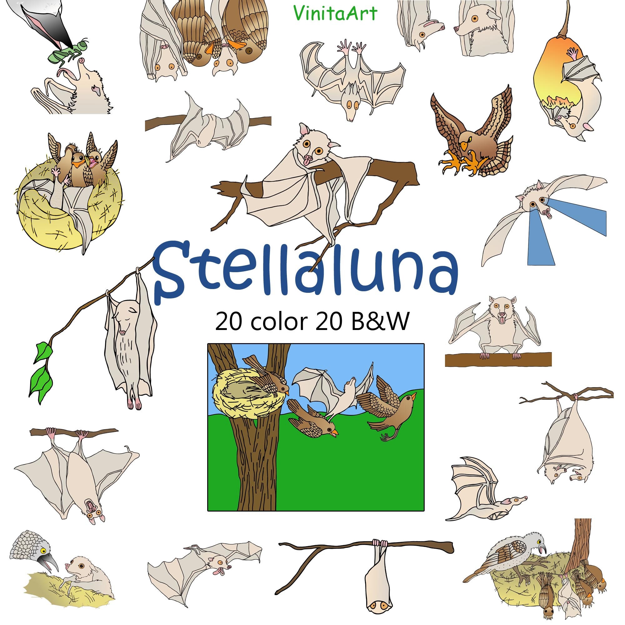 Stellaluna Coloring Pages Printable