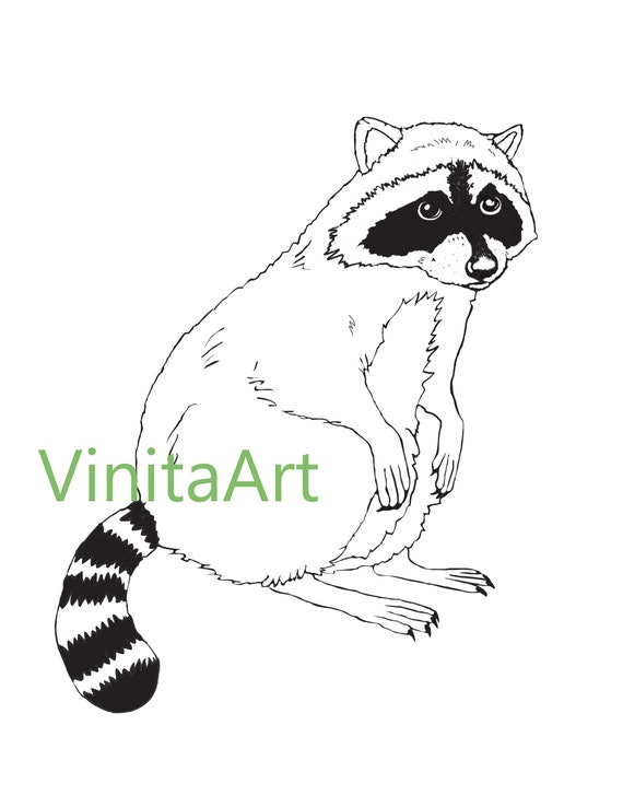 Davy Crockett Clipart