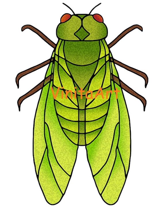 Drawing & Illustration Cicada Printable 8x8 digital stamp Pen & Ink ...