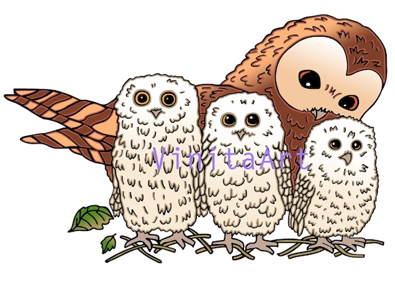 Baby Owl Clipart