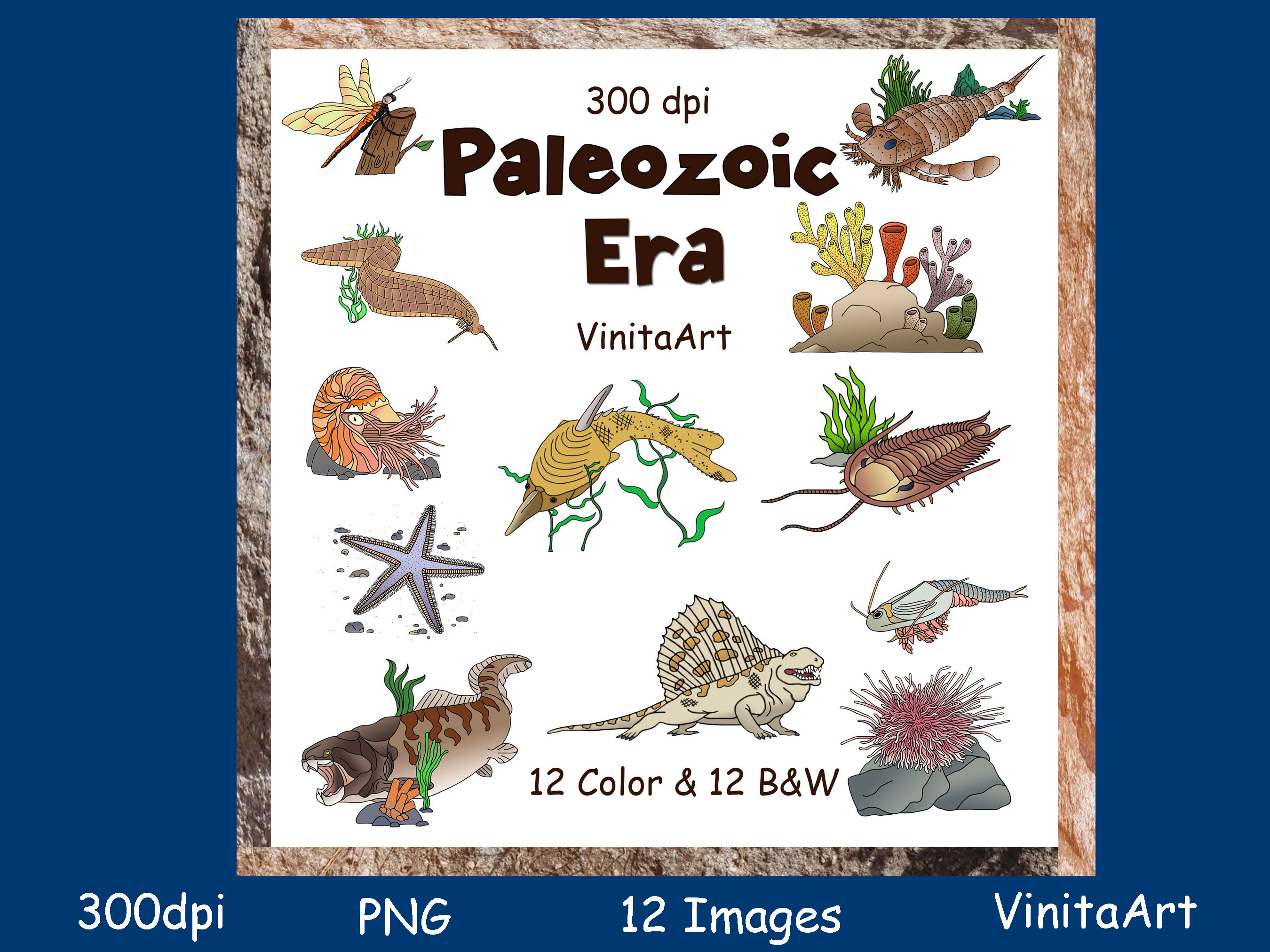 Paleozoic Era Plants Drawing