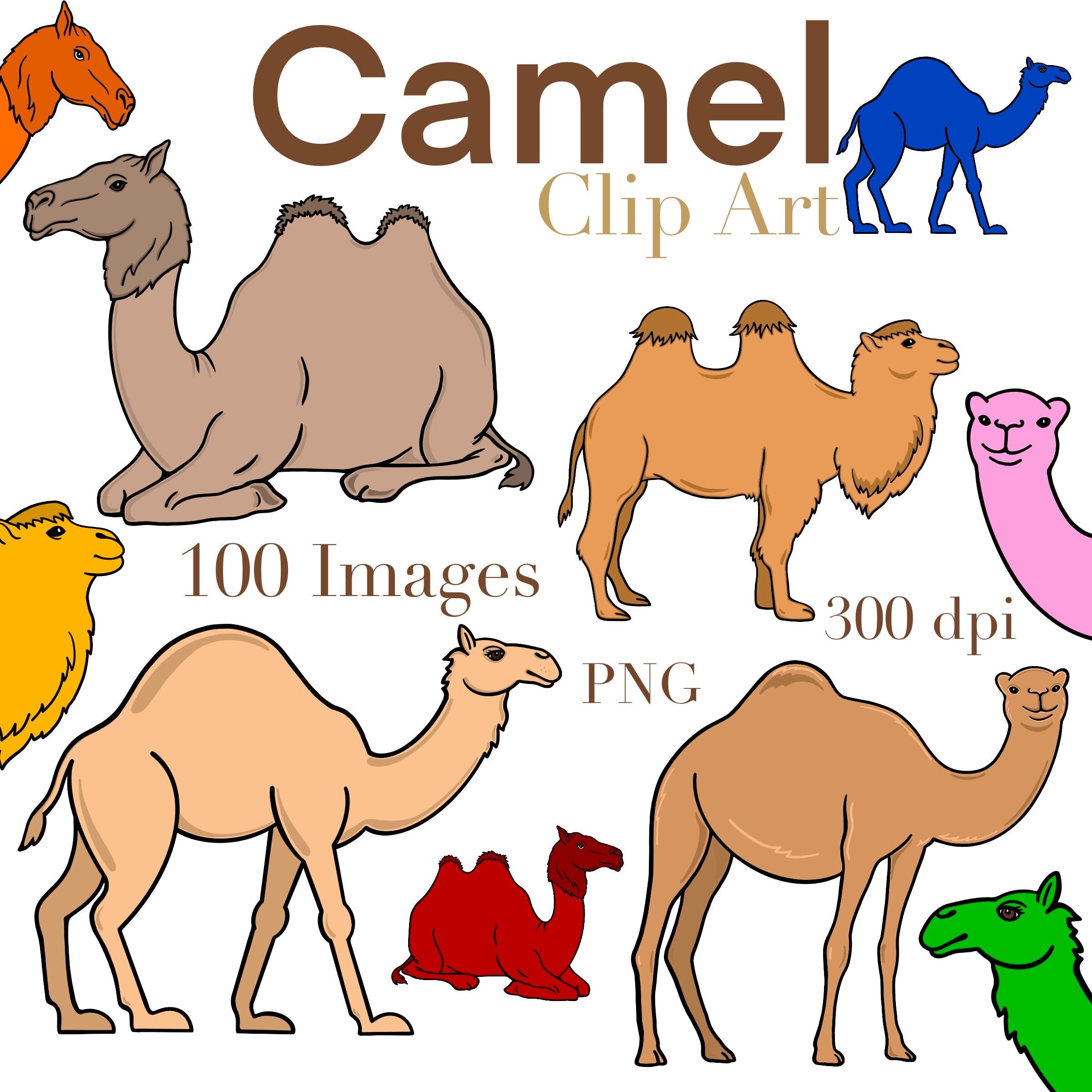 Camels In Desert Clipart