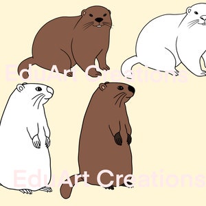 Groundhog SVG Bundle, PNG, Woodchuck Clipart, Hand Drawn Groundhog ...