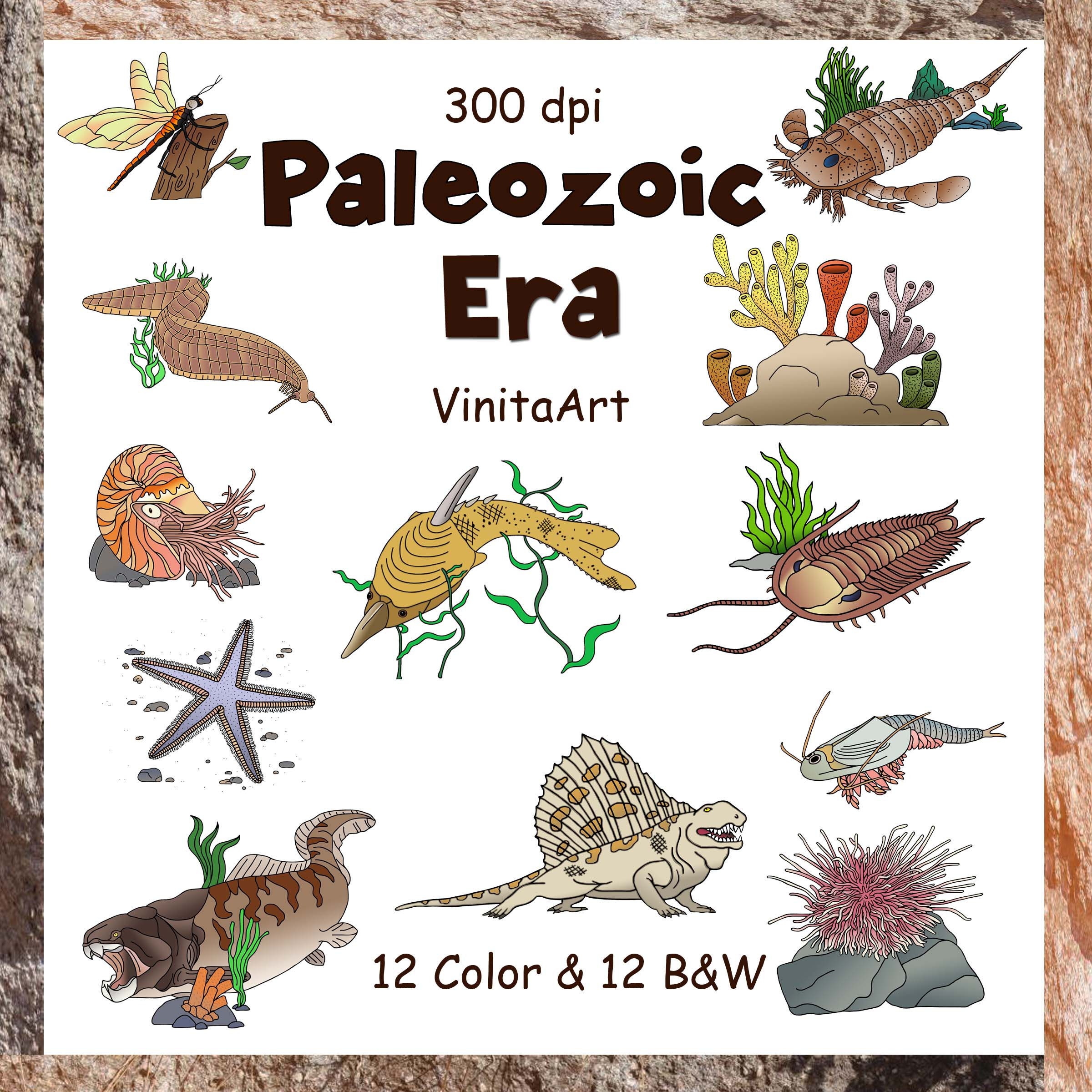 Paleozoic Era Plants And Animals