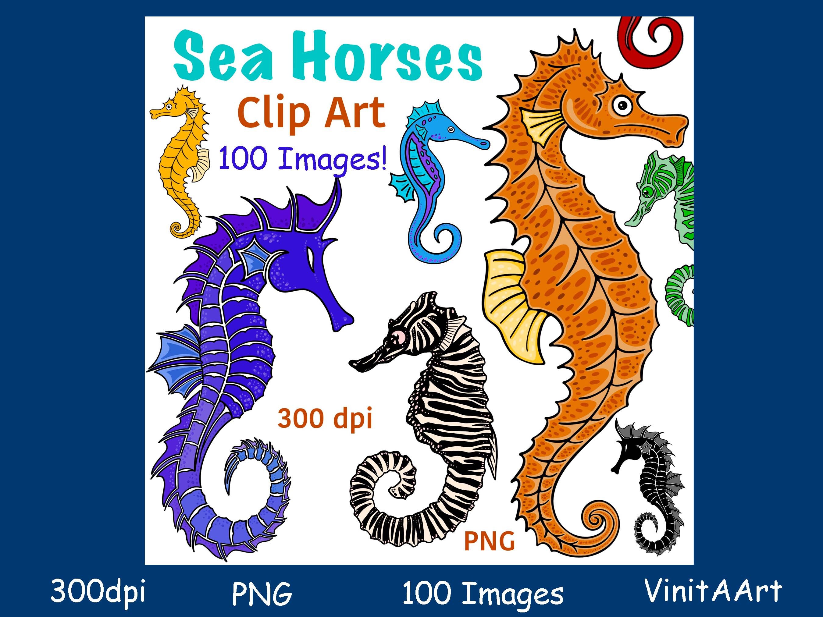 Sea Horse Clipart