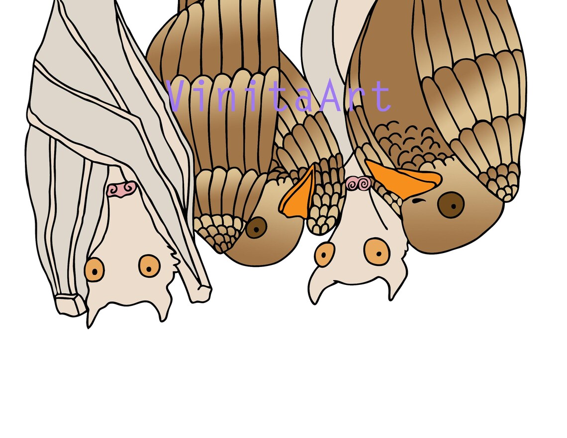 Stellaluna Story Book Clip Artstella Luna Digital - Etsy