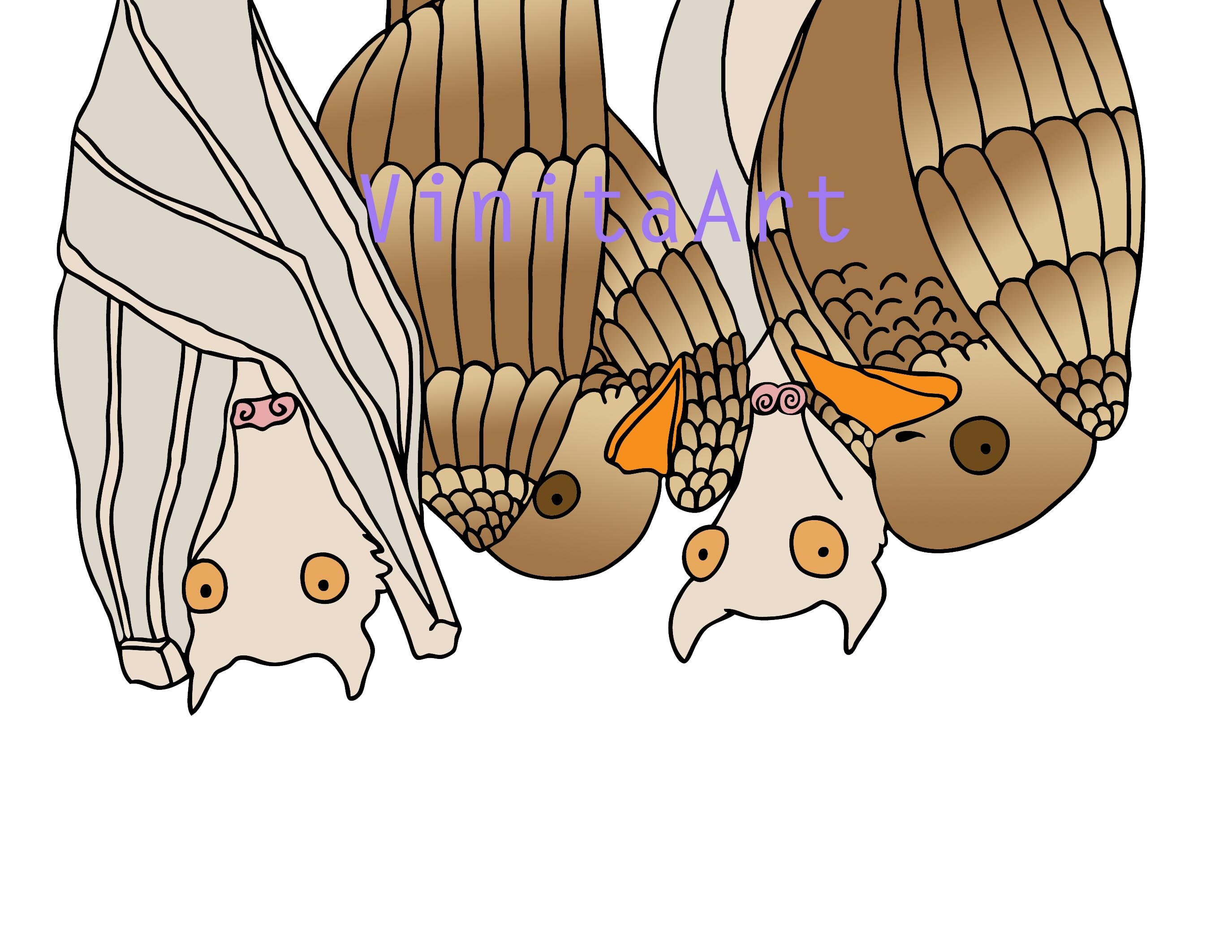 Stellaluna Story Book Clip Artstella Luna Digital - Etsy