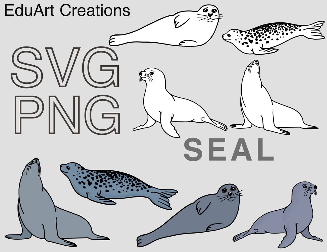 Seal Svg, Seals Svg, Sea Svg, Sea Lion, Animal, SVG, Svg,png, Cricut - Etsy