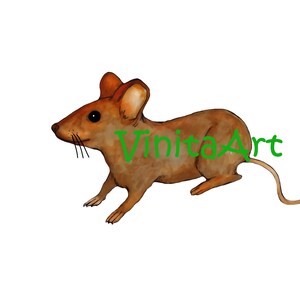 Aesops Fables Clip Art Watercolor Digital Stamps Fables | Etsy