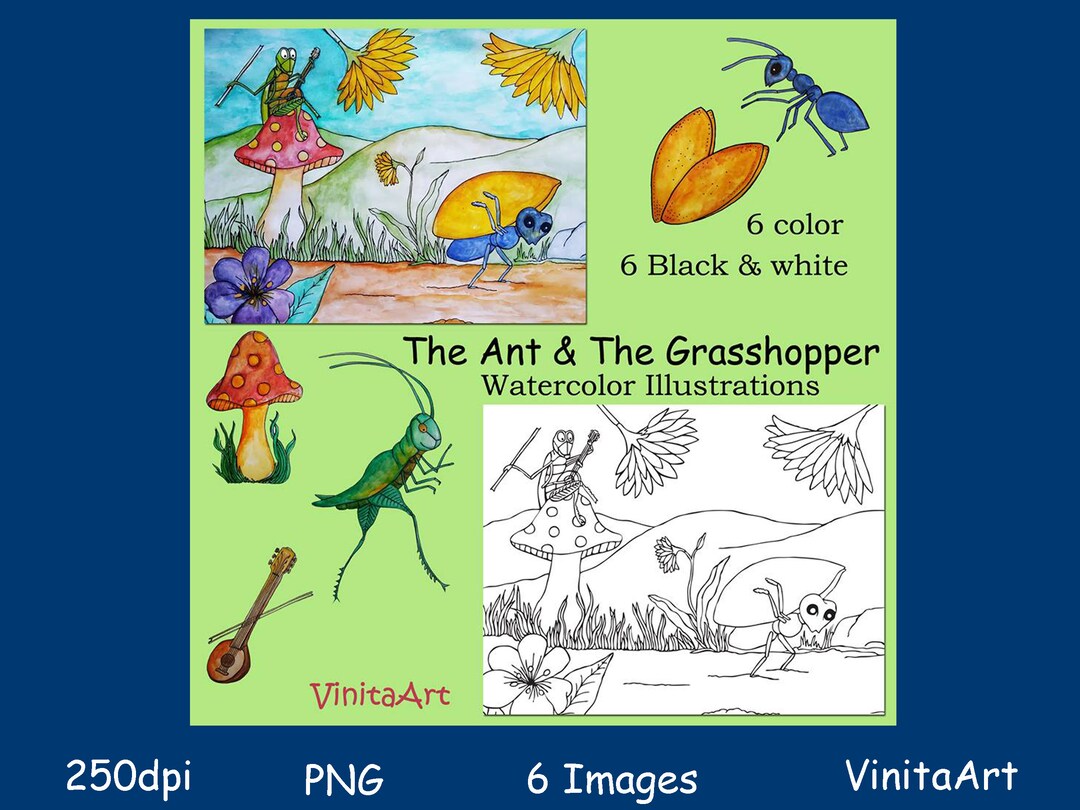 Tortoise & the Hare, Aesops Fables, Clip Art, Watercolor, Illustrations ...