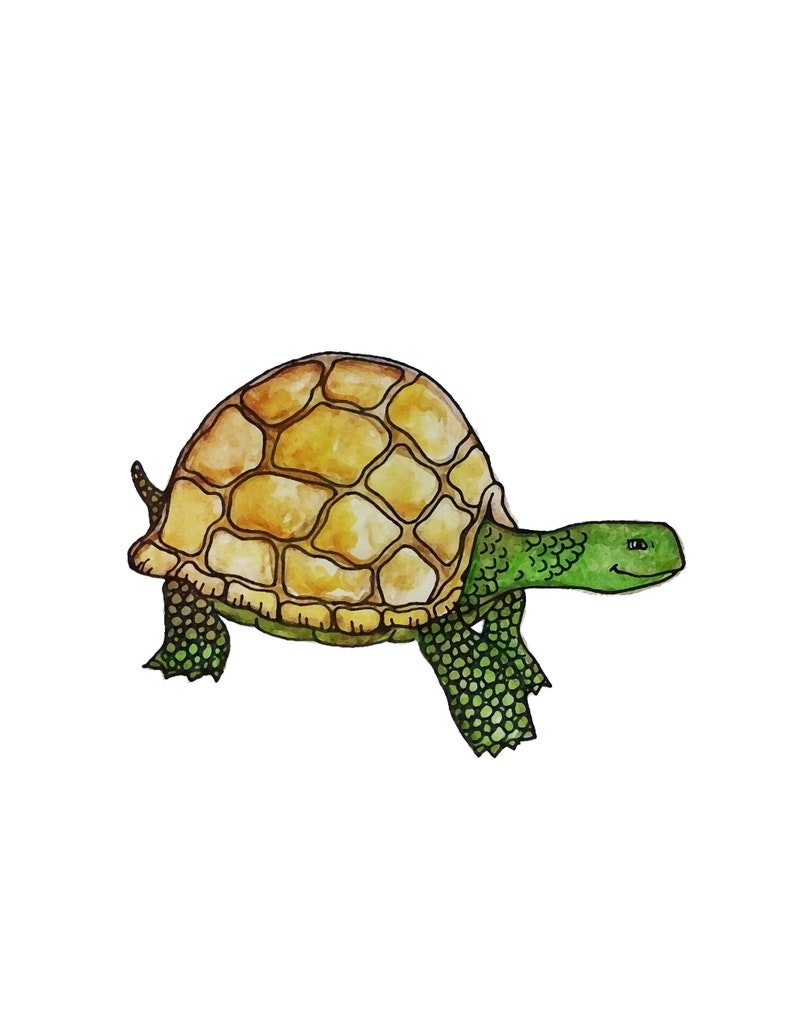 Tortoise & the Hare Aesops Fables Clip Art Watercolor | Etsy