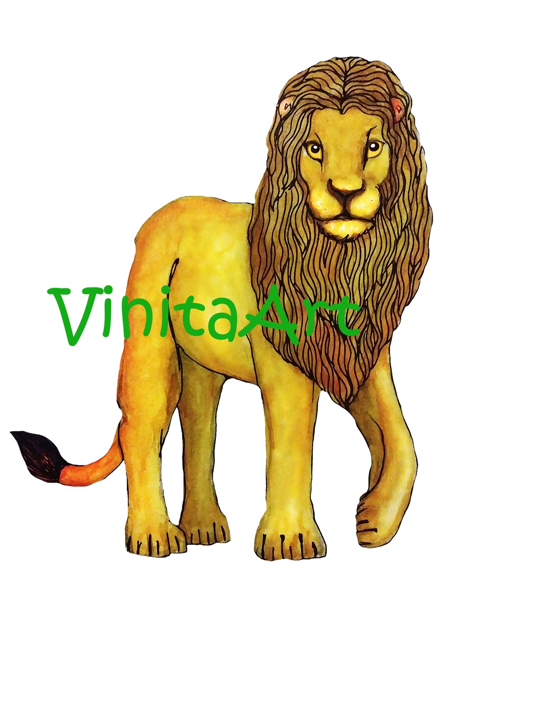 Aesops Fables Clip Art Watercolor Digital Stamps Fables - Etsy