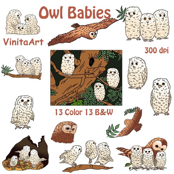 Owl Babies story book clip art digital download printables | Etsy