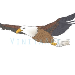 North American Animals,clip Art, Digital Stamps,moose,grizzly Bear ...