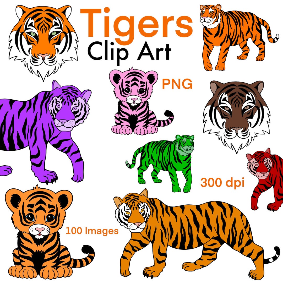 Tiger Clipart, Tigers, Commercial Use, Printable, 100 Images - Etsy