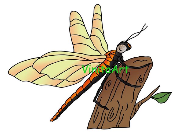 Paleozoic Era Insects