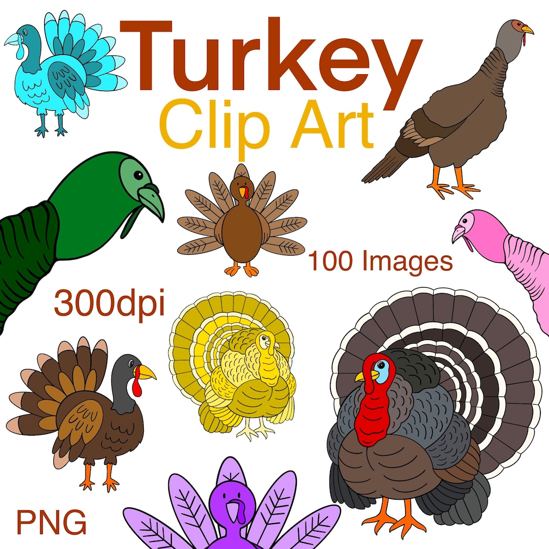 Turkey Clip Art, Turkeys, Thanksgiving, Digital Download, 100 Images ...