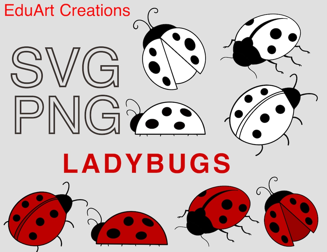 Ladybug SVG Bug SVG Files Ladybug SVG Layered Ladybug Files for Cricut ...