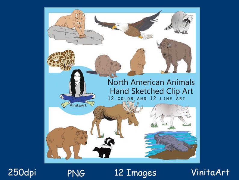 North American Animalsclip Art Digital Stampsmoosegrizzly | Etsy