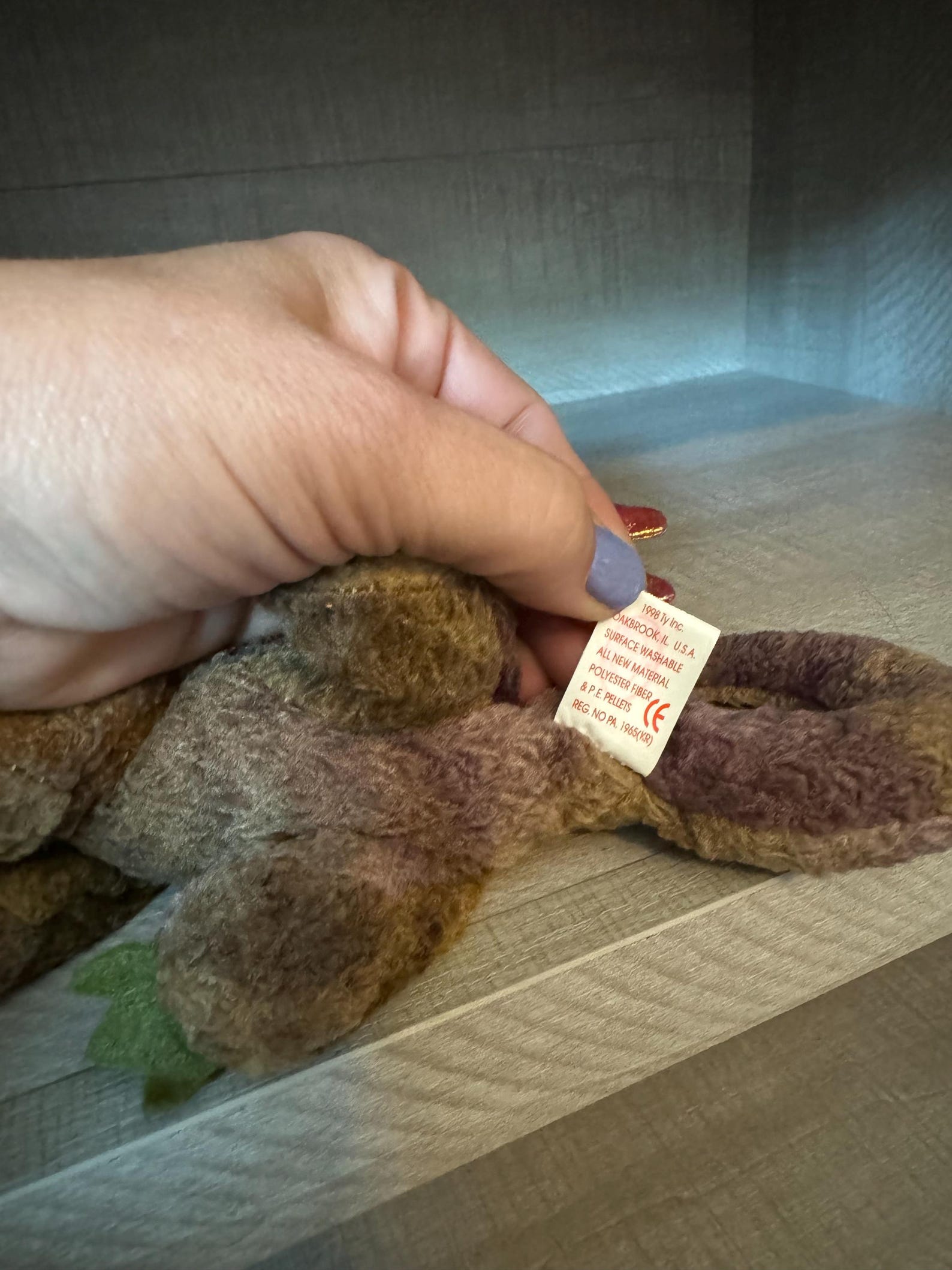 Scorch the Dragon - Etsy