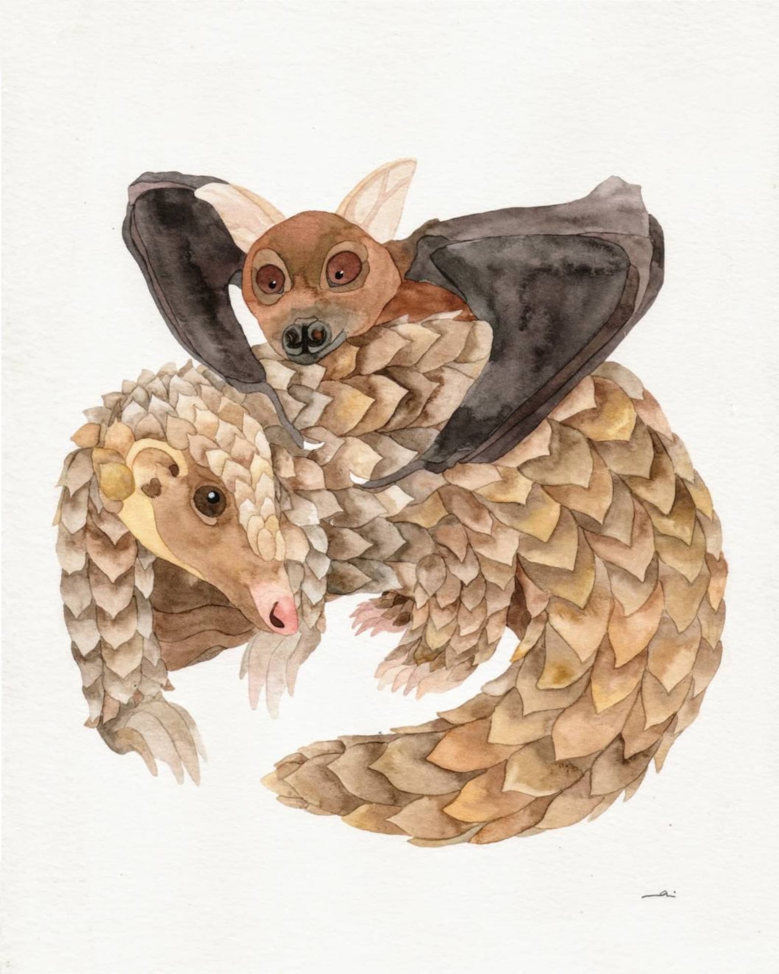 Pangolin and Bat - Print - Etsy