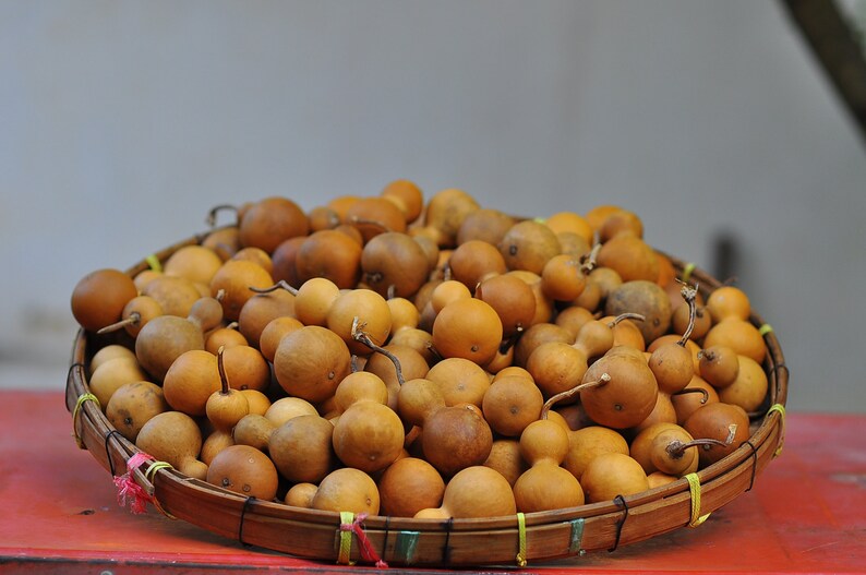 Vintage Dried Gourds Vintage Dried Calabash Old Gourds tall - Etsy