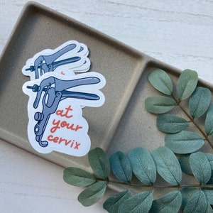 At Your Cervix Sticker: Funny OBGYN Midwife Gift - Etsy