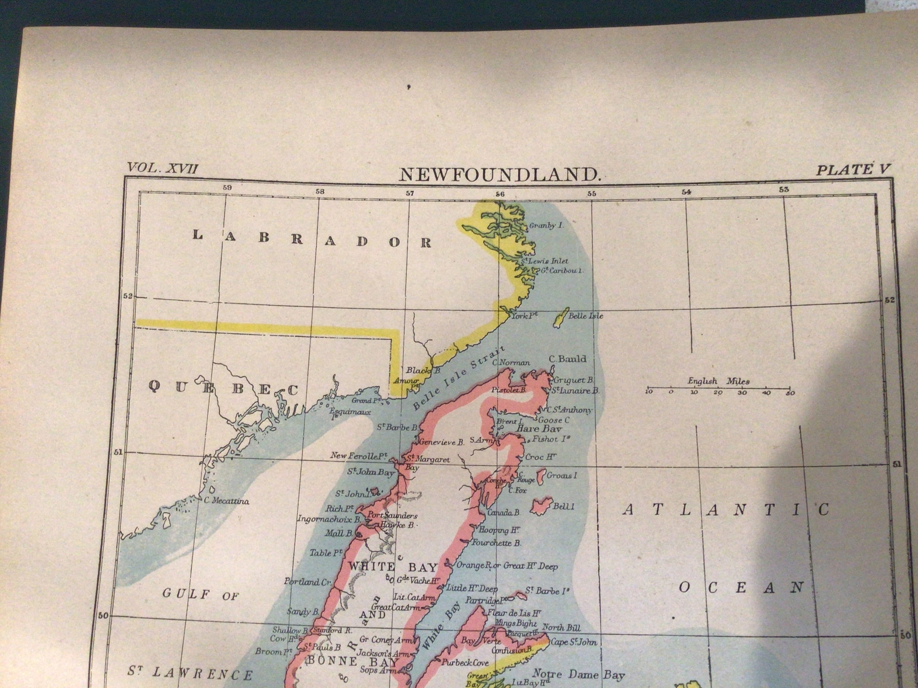Map of Newfoundland Province, Canada, 10 X 15” Tinted by Hand, Circa ...