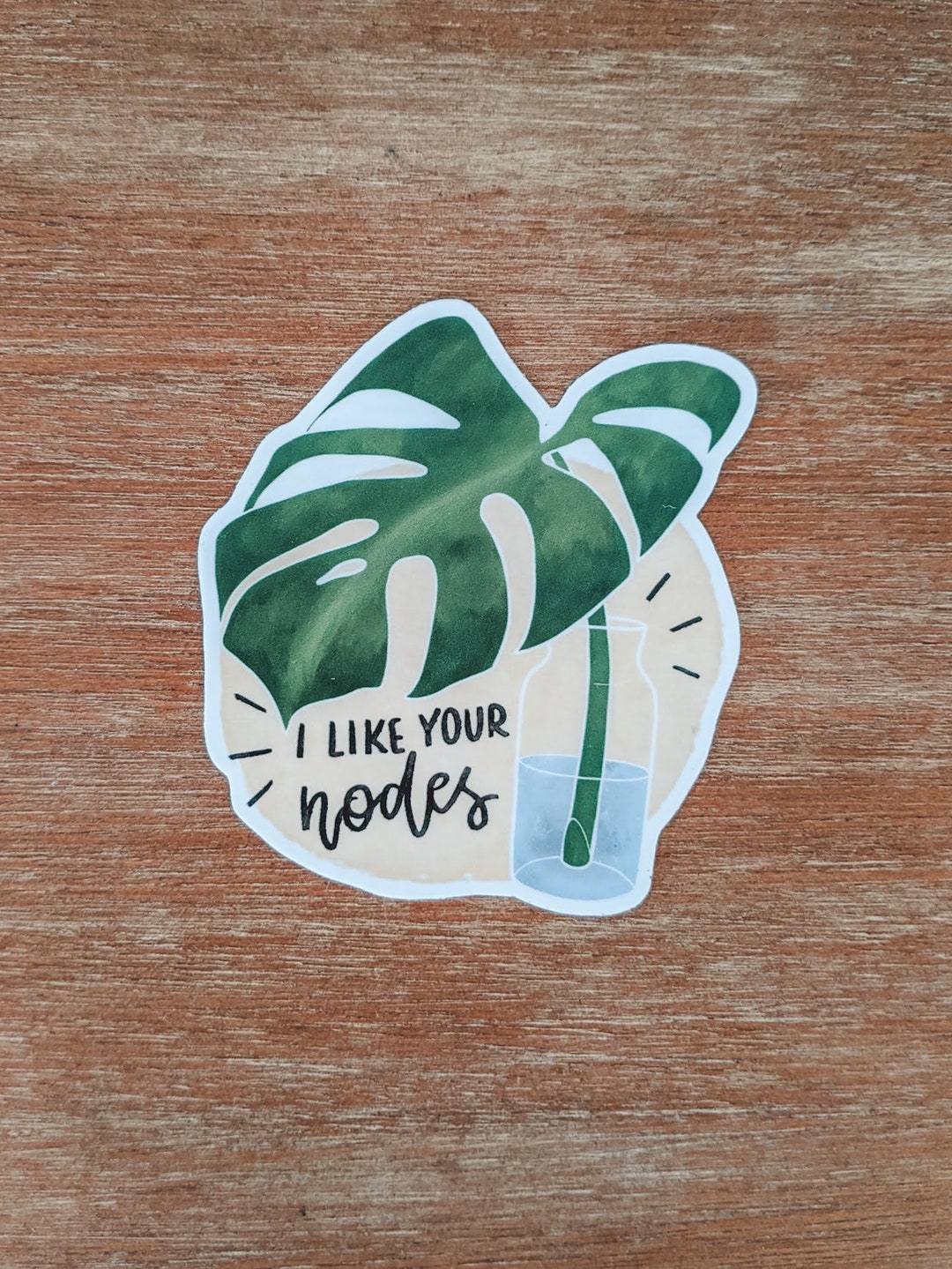 Funny Plant Propagation Sticker Cute Monstera Plant Lover's Water ...