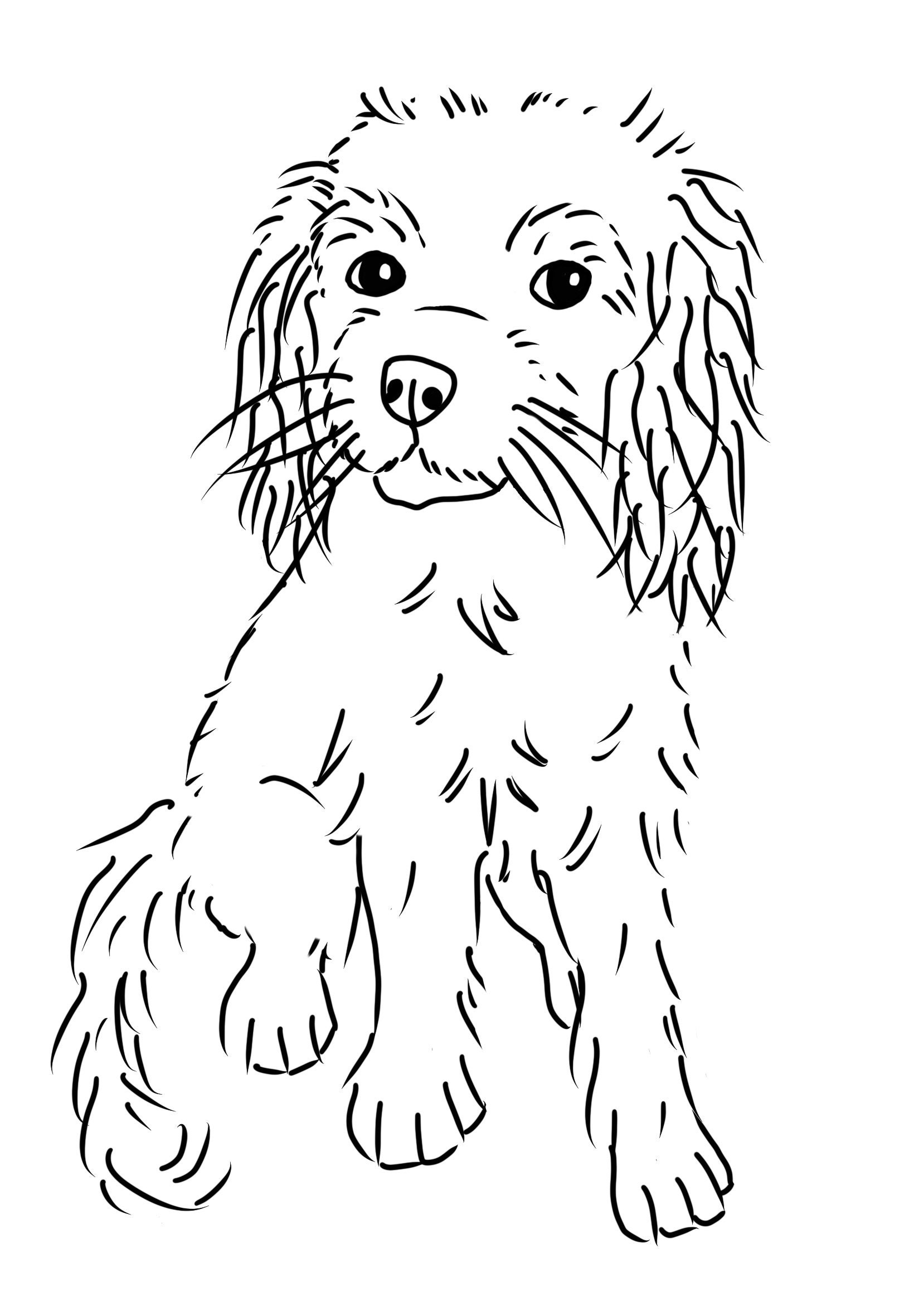 Digital Pet Line Drawing, Digital Line Drawing of Dog, Pet Line Art ...