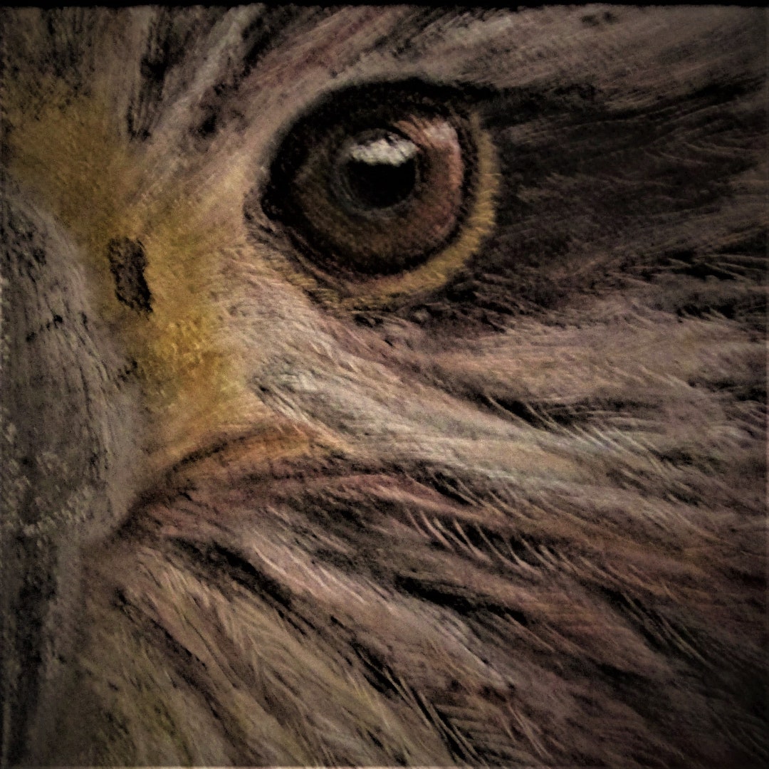 Soul of a Hawk | Hawk Art Print, Hawk Painting, Hawk Print, Hawk Wall ...