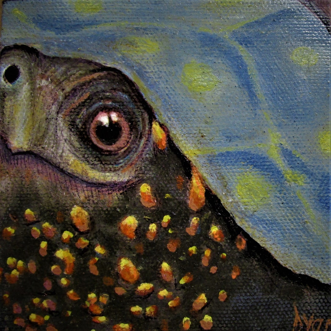 Soul of a Turtle | Turtle Portrait, Turtle Painting, Turtle Art Print ...