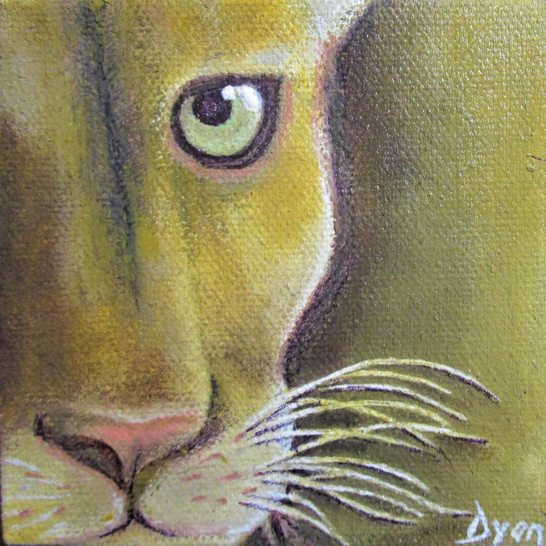 Soul of a Mountain Lion | Mountain Lion Art, Mountain Lion Print, Lion ...