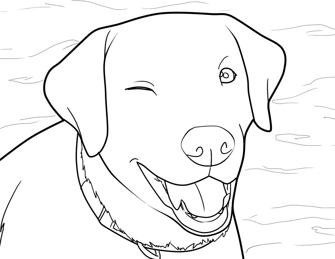 Create Your Own Coloring Book of Your Dog | Custom Coloring Book ...