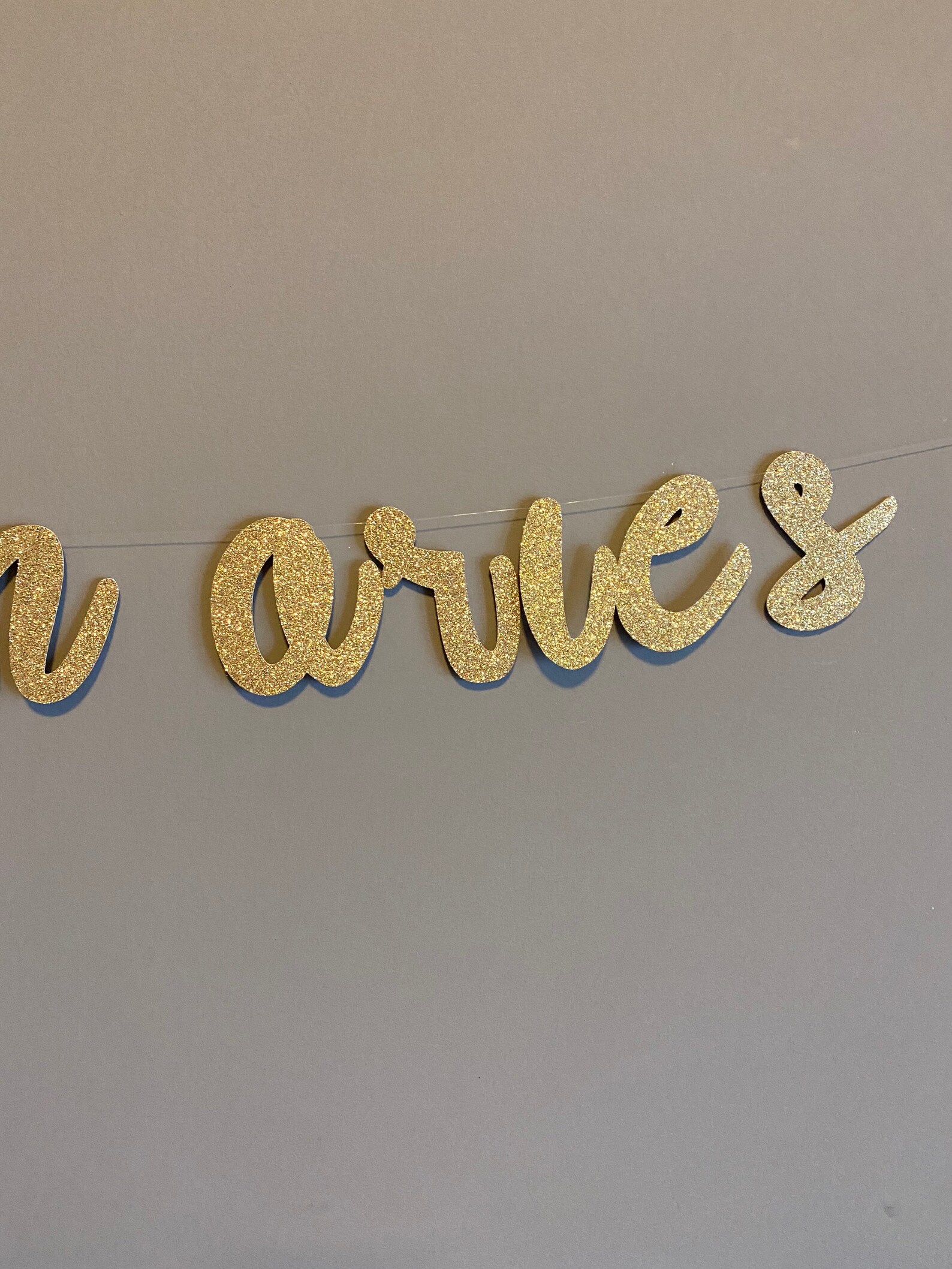 Party Like a Aries Banner Aries Season Birthday Zodiac | Etsy