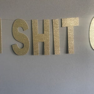 Bach Shit Crazy Banner, Funny Bachelorette Banner, Bachelorette Party ...