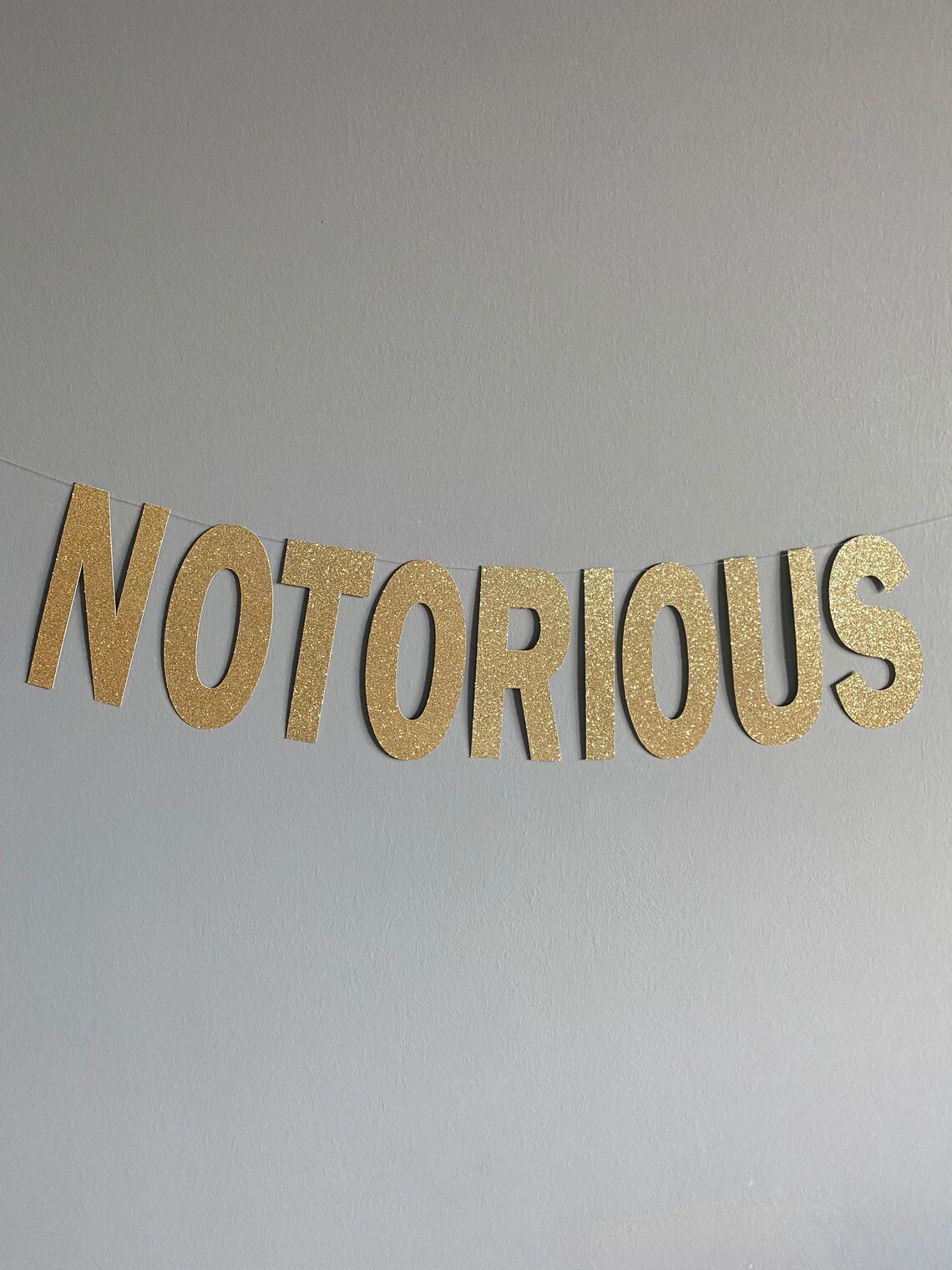 Notorious One Banner Notorious One Notorious Birthday Hip - Etsy