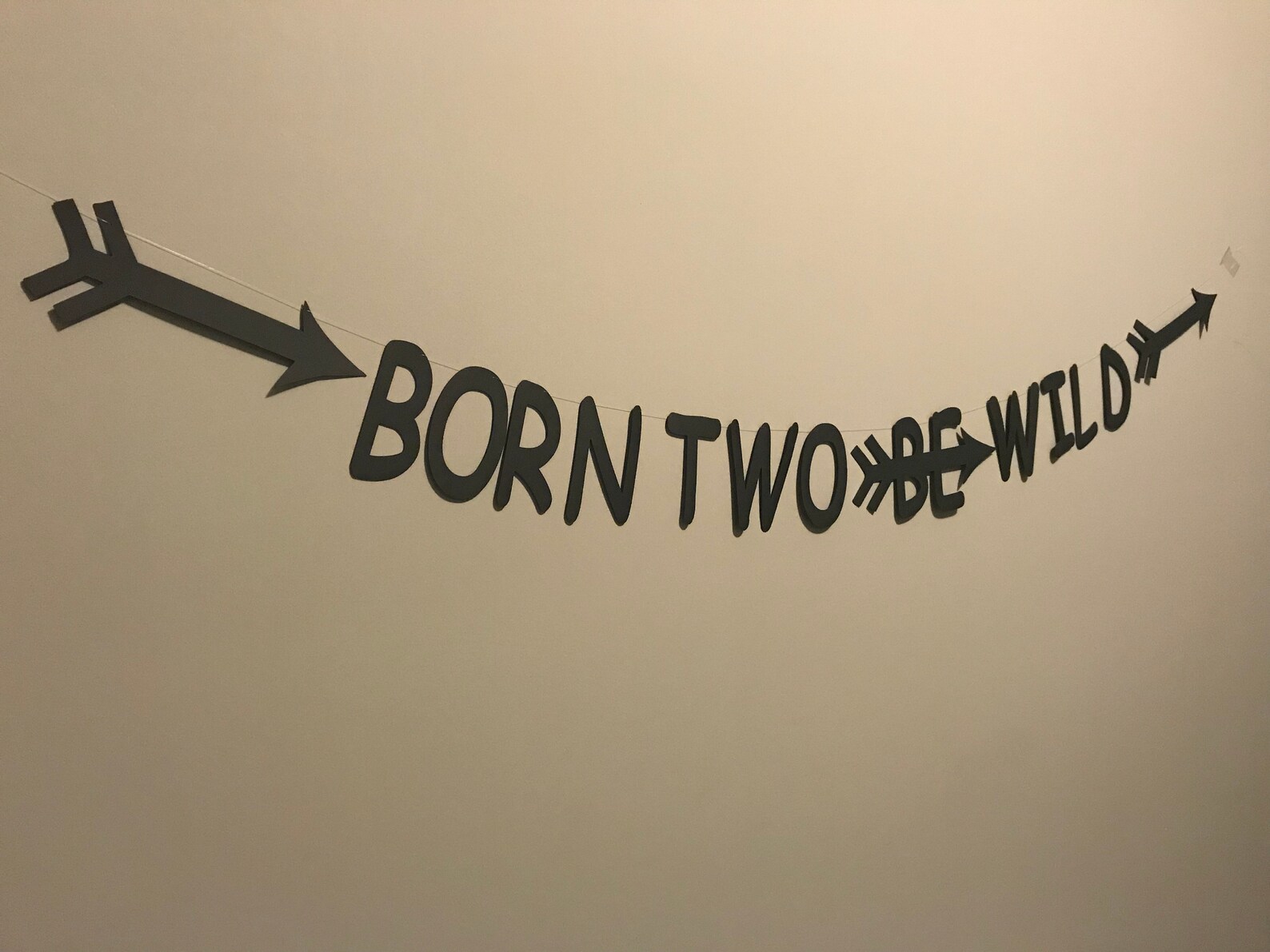 Born Two Be Wild Banner Second Birthday Banner Born to Be - Etsy