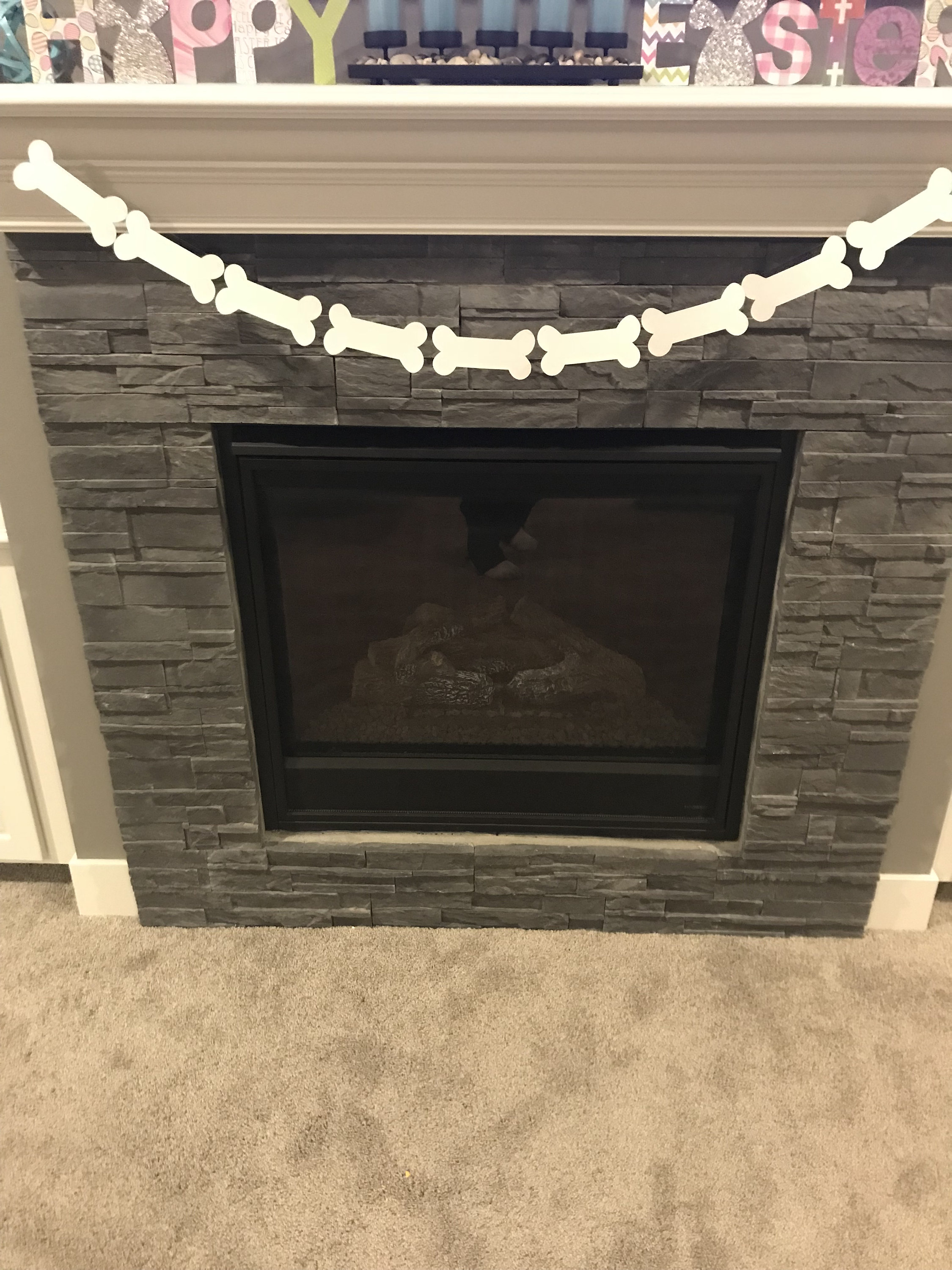 Puppy Party Dog Bone Garland Dog Theme Party Dog Bone | Etsy