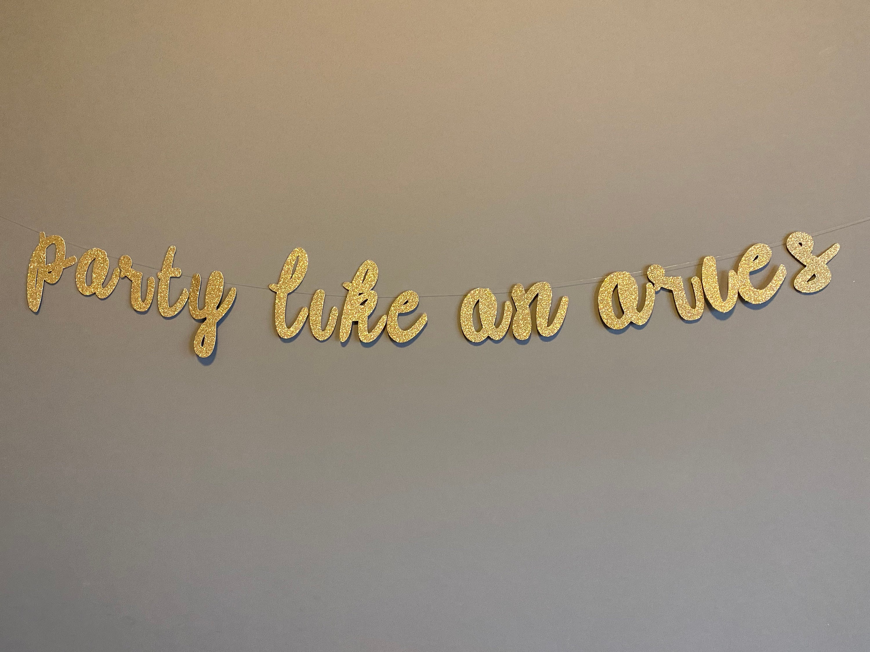 Party Like a Aries Banner Aries Season Birthday Zodiac | Etsy