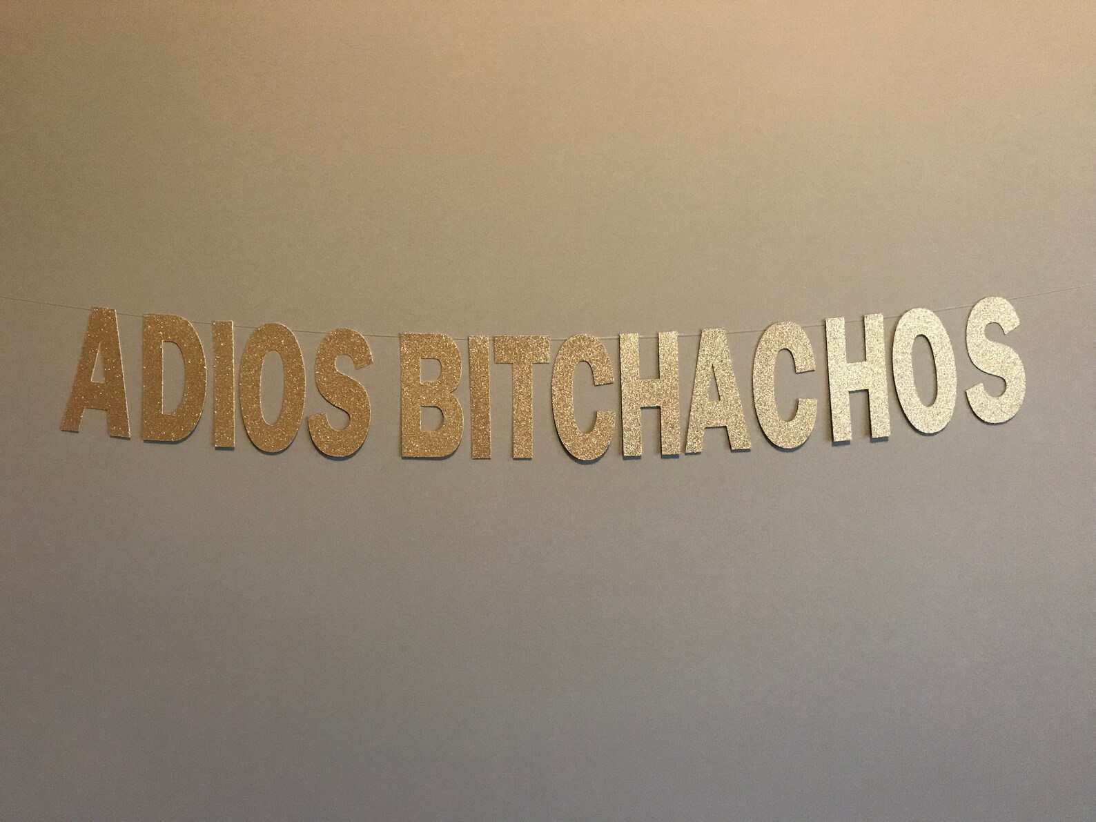 Adios Bitchachos Banner Fiesta Party Decorations Bunting - Etsy Canada