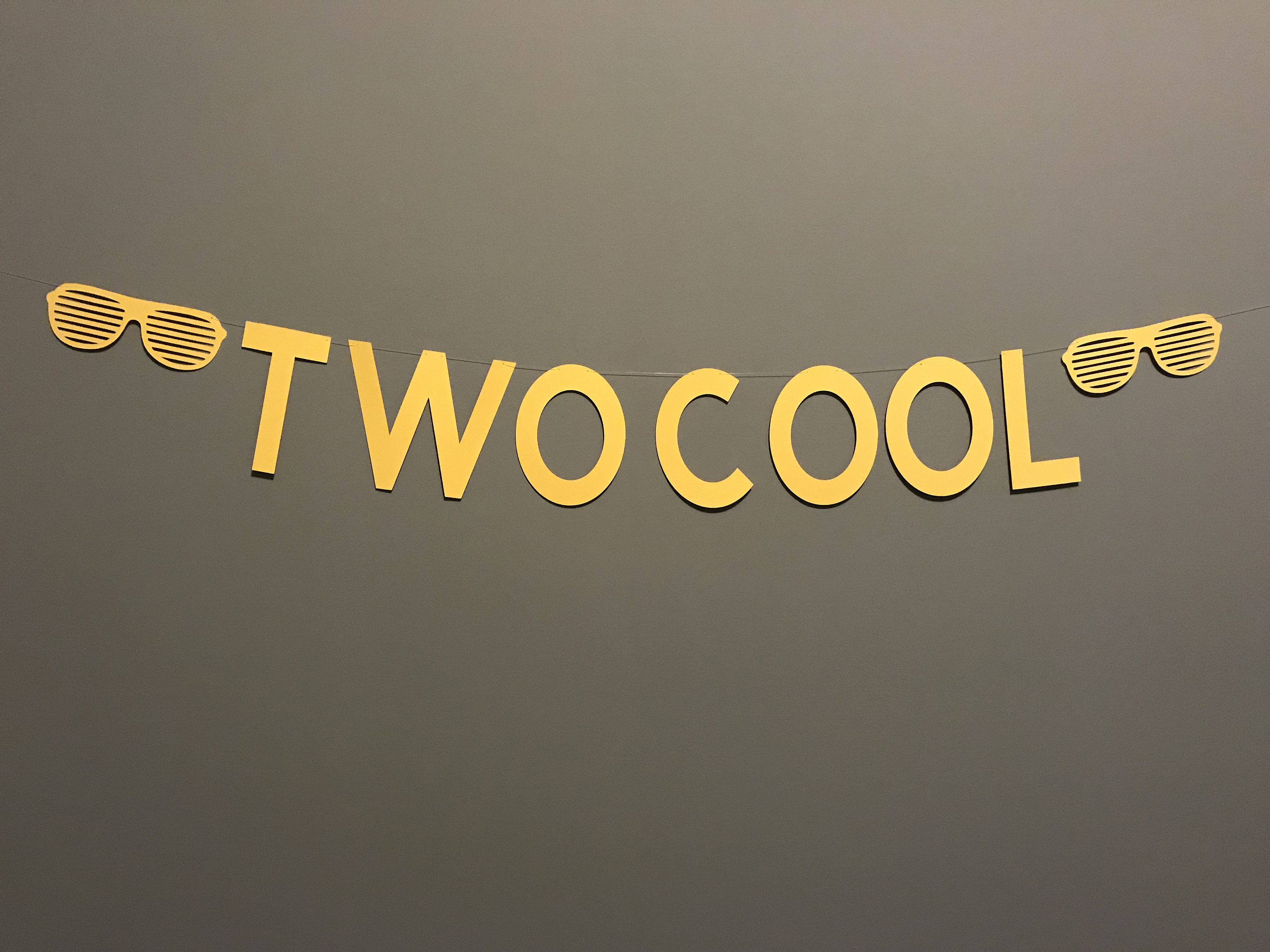 Two Cool Banner, Two Cool Birthday, Sunglasses Banner, Sunglasses Party ...