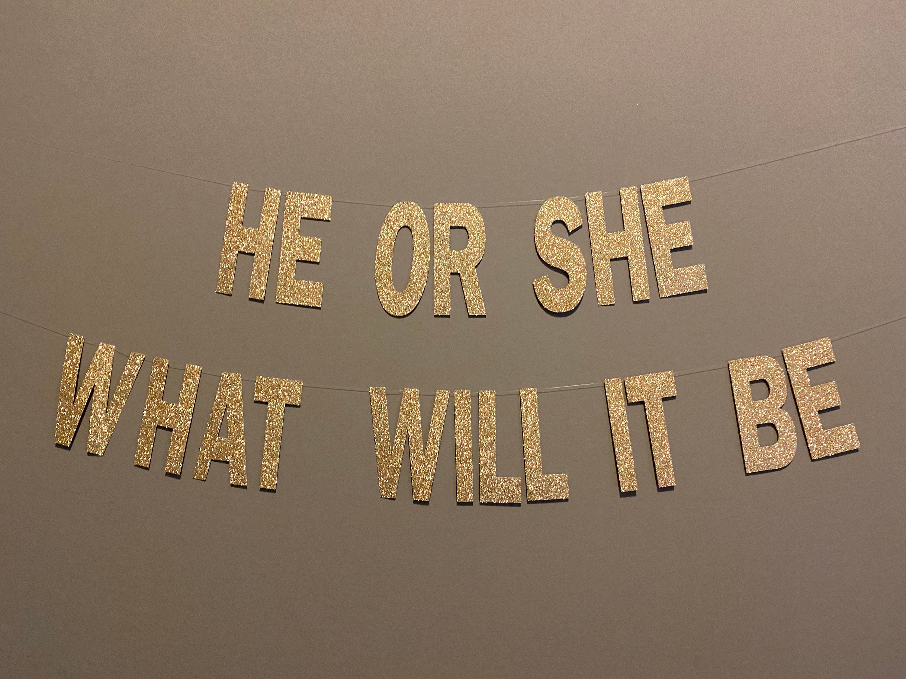 He Or She What Will It Be Banner Gender Reveal Sign Banner Etsy