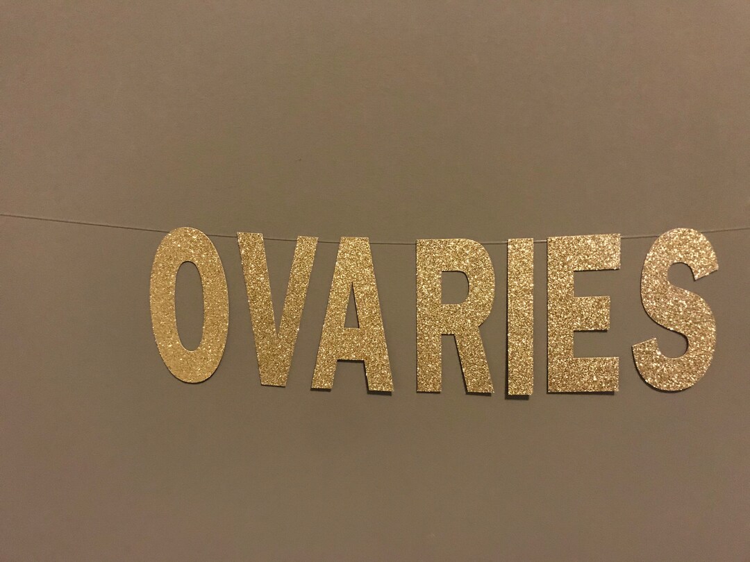 Ovaries Before Brovaries Banner: Glitter Bachelorette Party Decor - Etsy